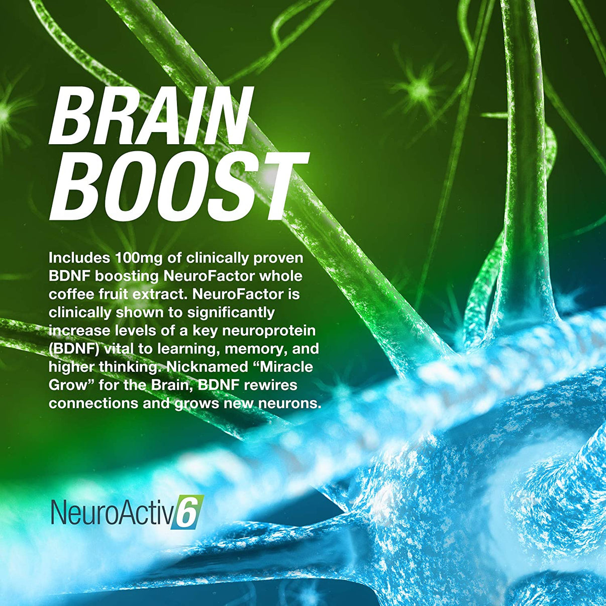 NeuroActiv6 - Brain Support Supplement – NaturalCell